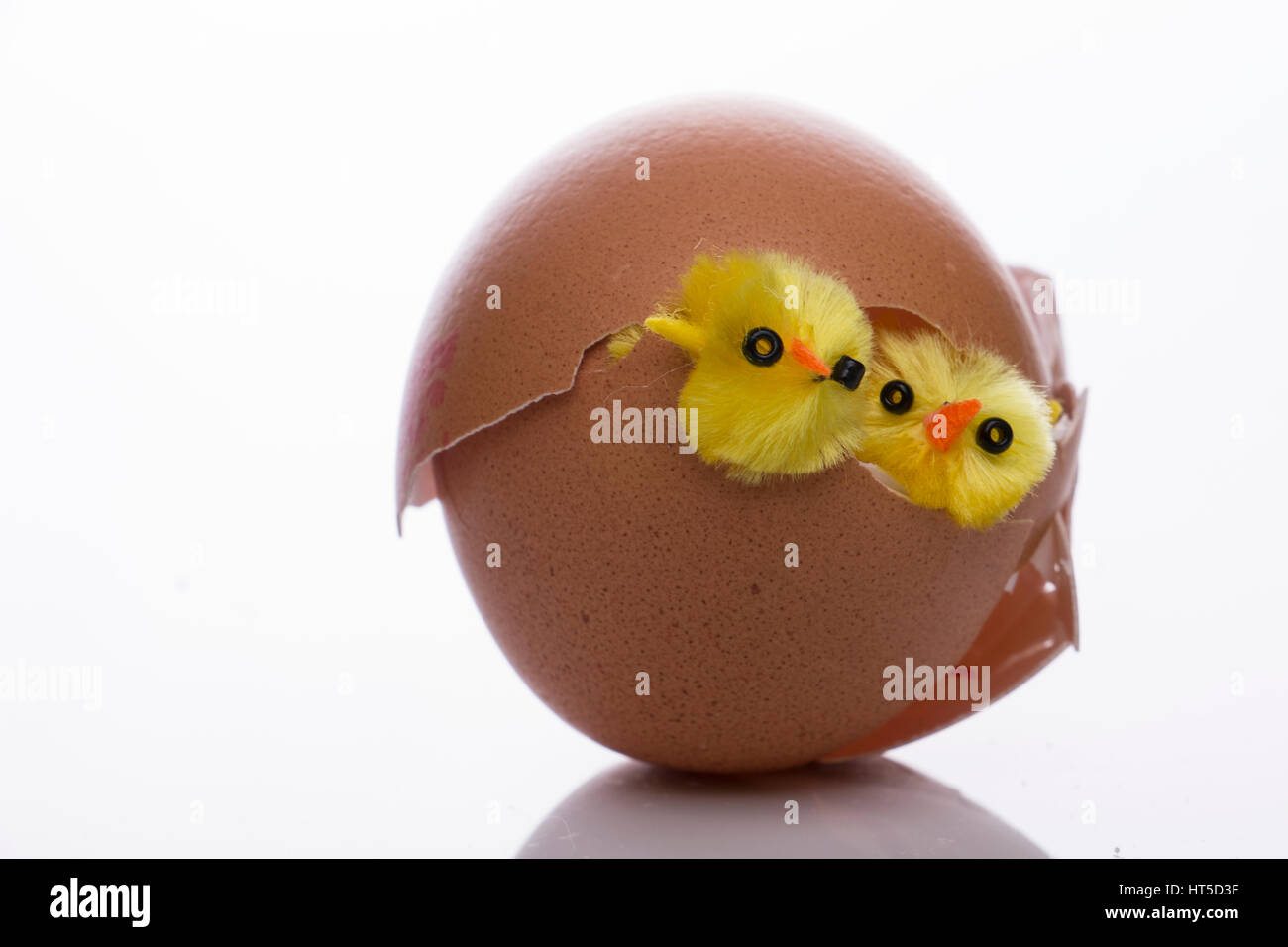 Young artificial chicklings Stock Photo - Alamy