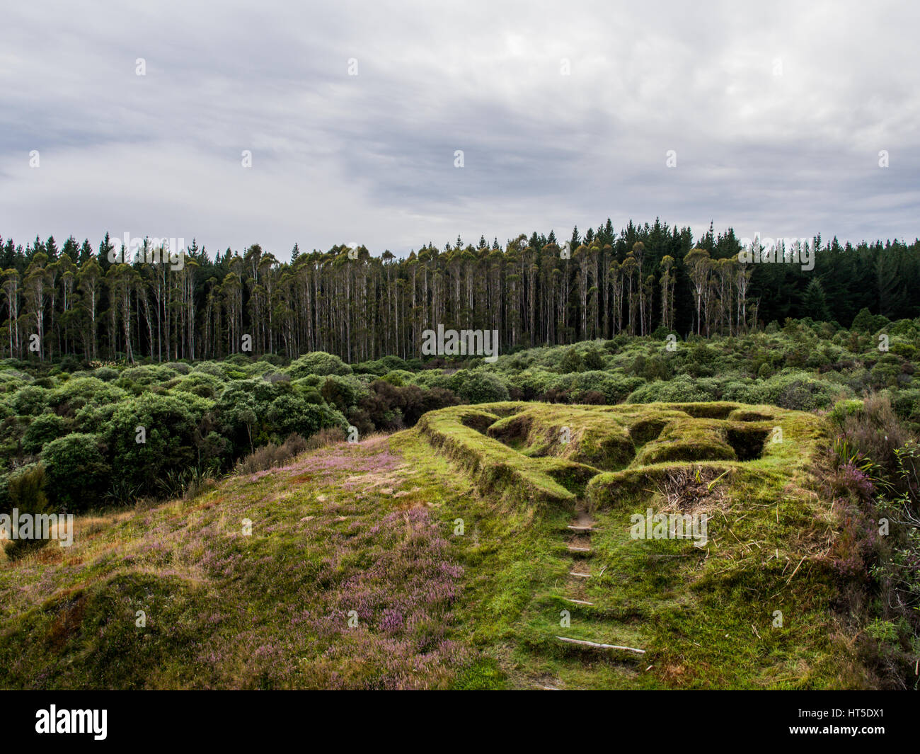 Te Porere, the earthworks of the lower redoubt, autumn Stock Photo - Alamy