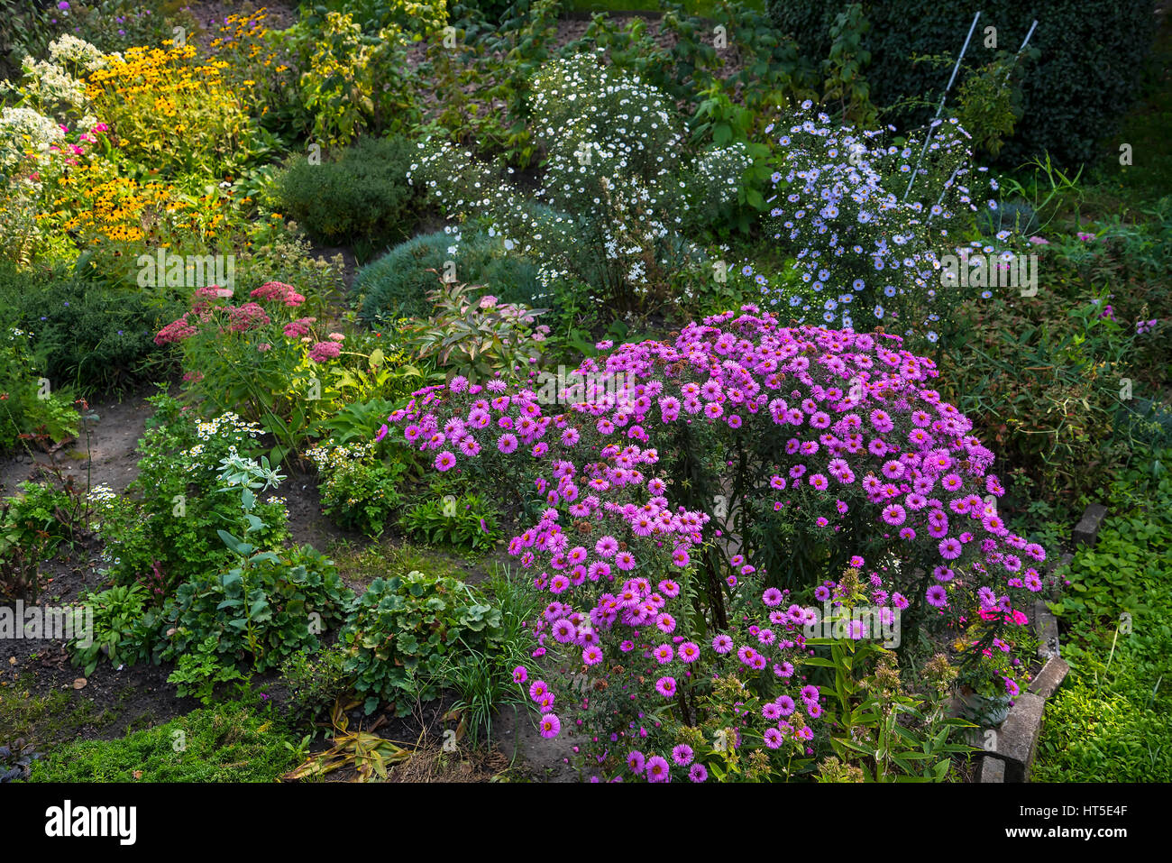Flowers both growing and cut in Krakow Poland Stock Photo - Alamy