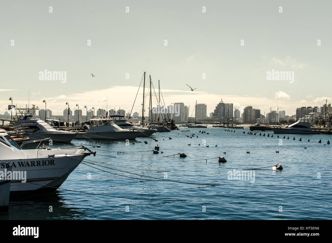 Punta del Este Pier Stock Photo - Alamy