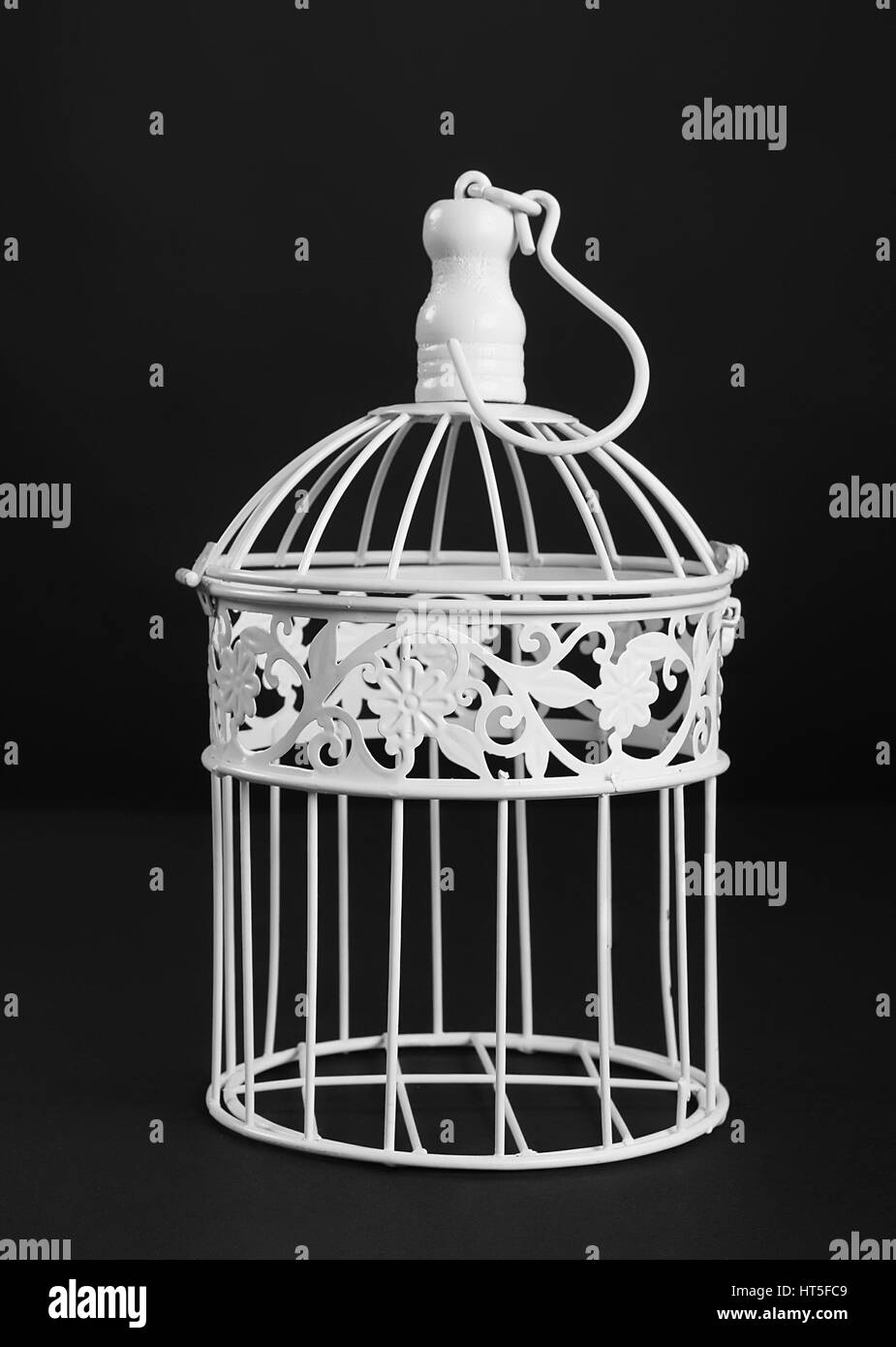 White metal bird cage, front view Stock Photo - Alamy