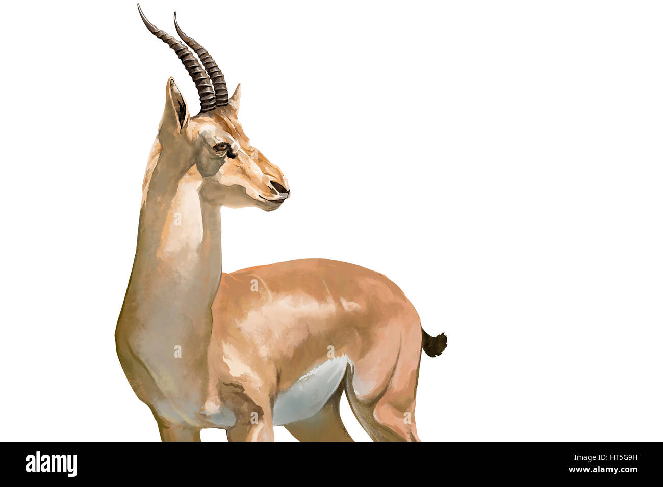 Antelope painting hi-res stock photography and images - Alamy