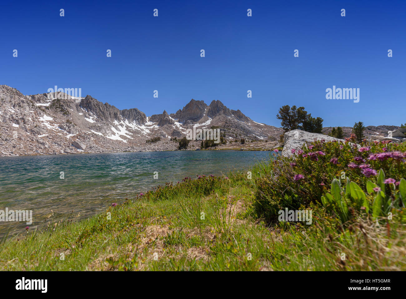 Serene mountain garden landscape in the Sierra Nevada mountains on the ...