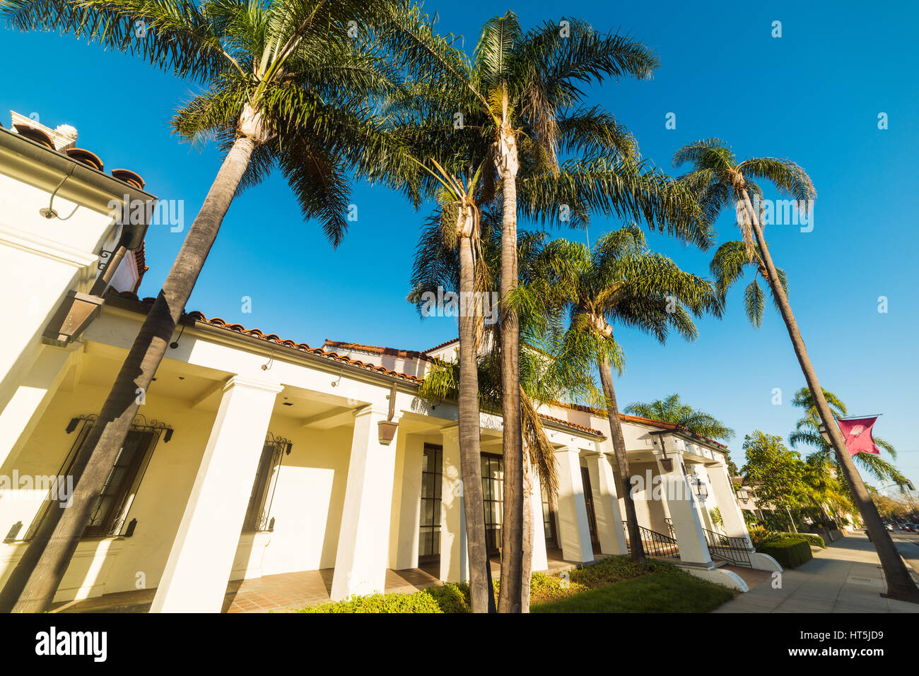 palm trees in Santa Barbara, California Stock Photo - Alamy