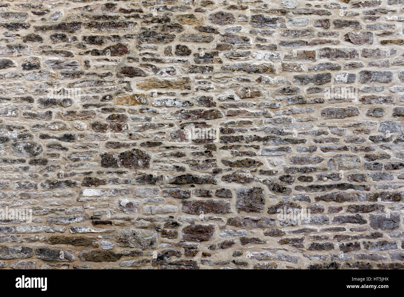 Stone wall plants background texture hi-res stock photography and ...