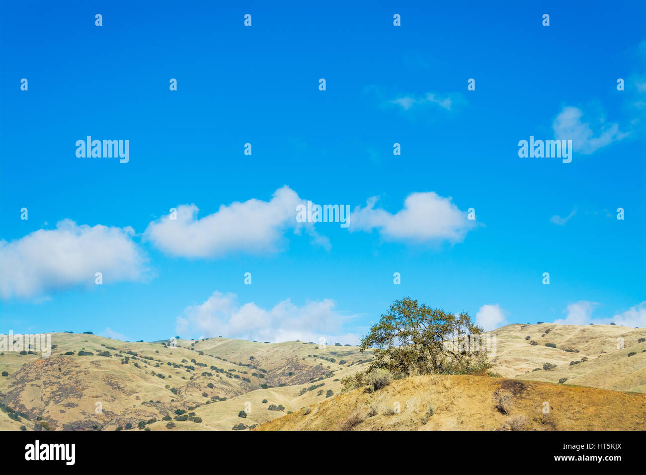 yellow hills in California, USA Stock Photo - Alamy