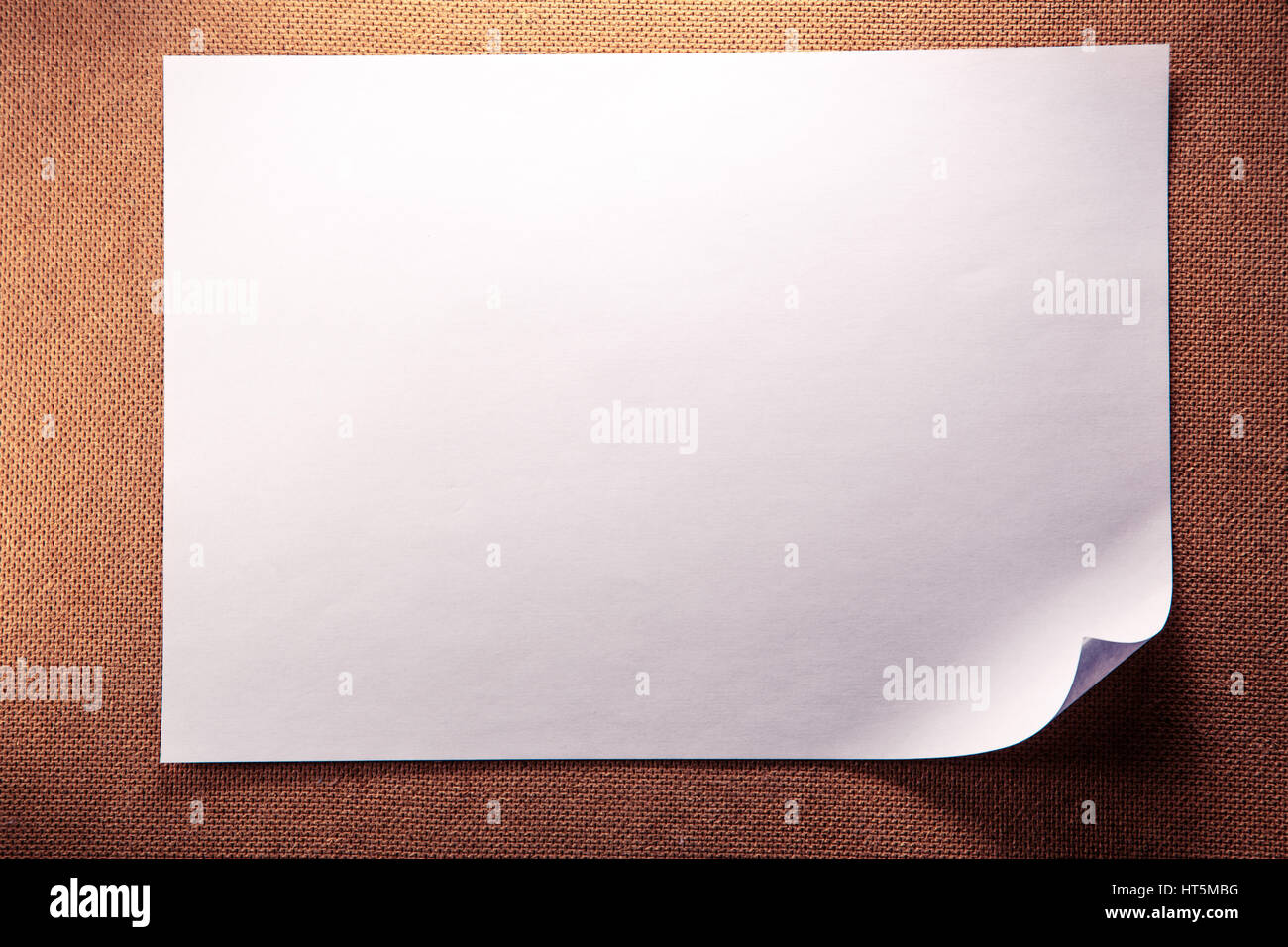 Blank sheet of paper as background closeup Stock Photo - Alamy
