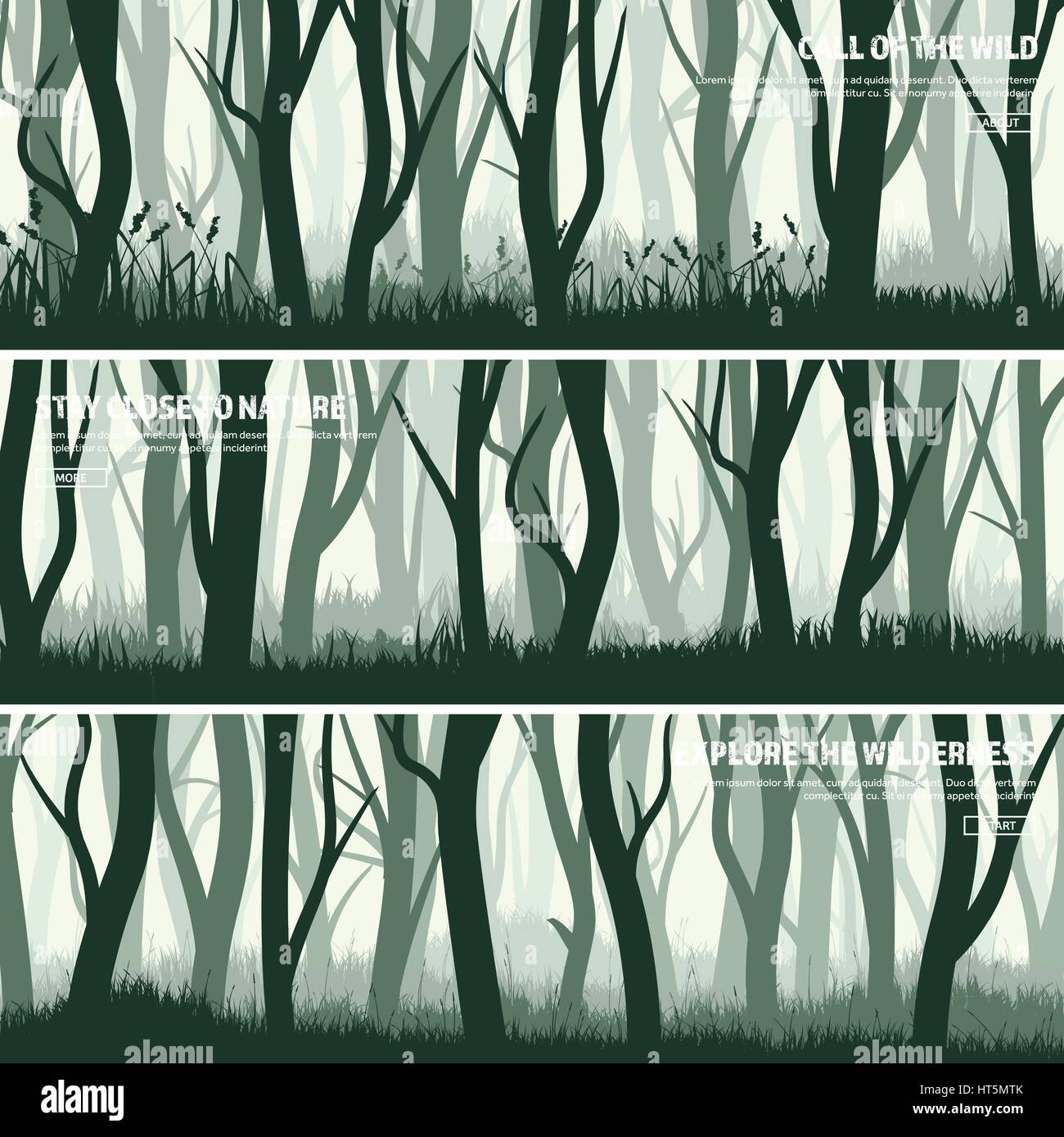 Trees set. Wild pine forest, nature background. Wood.Vector ...