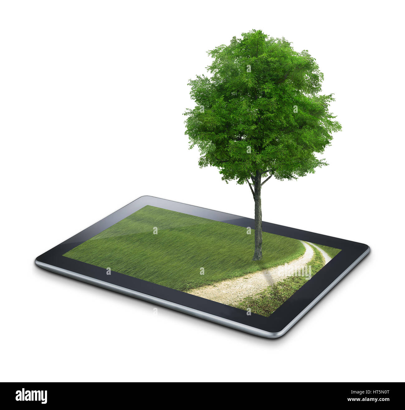 Empty family tree Cut Out Stock Images & Pictures - Alamy