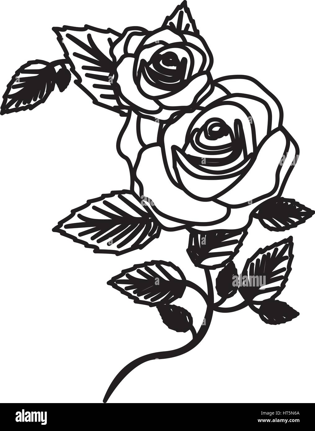 figure roses with squere petals and leaves icon Stock Vector Image ...