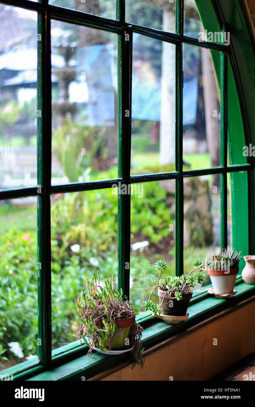 Window with plants of a old farm. Ingapirca. Ecuador Stock Photo - Alamy