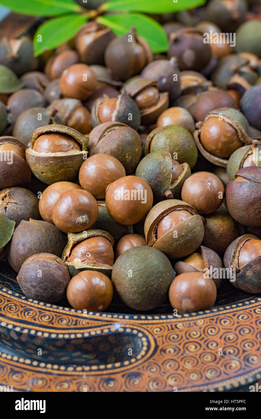 Macadamia plantation hawaii hi-res stock photography and images - Alamy