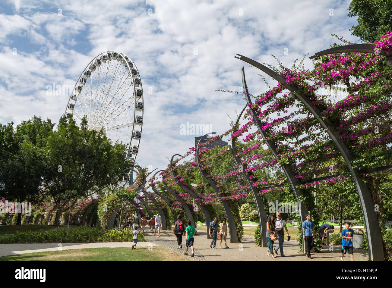 The Wheel of Brisbane in the South Bank Parklands Stock Photo - Alamy