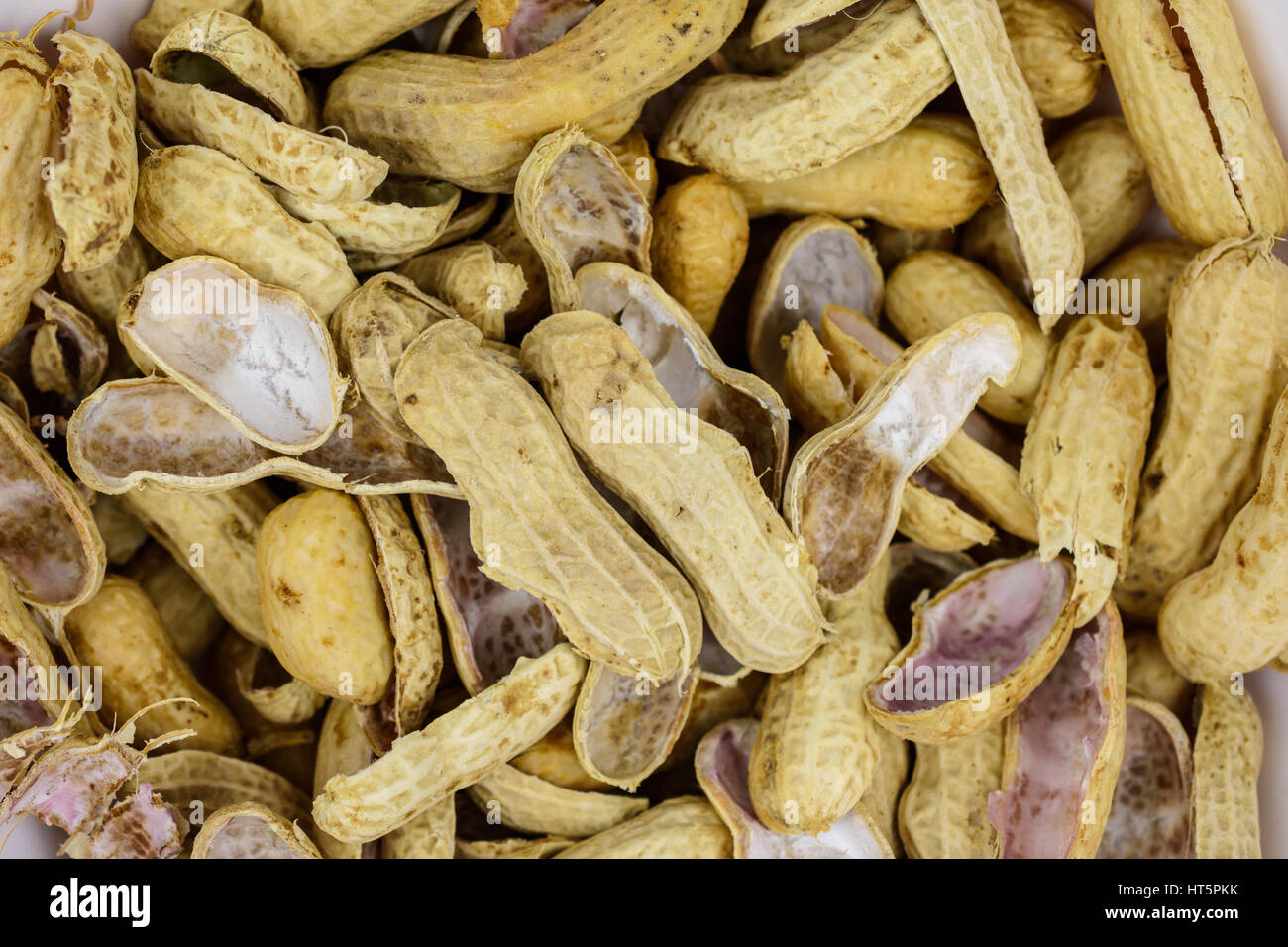 Peanut Shell Drawing