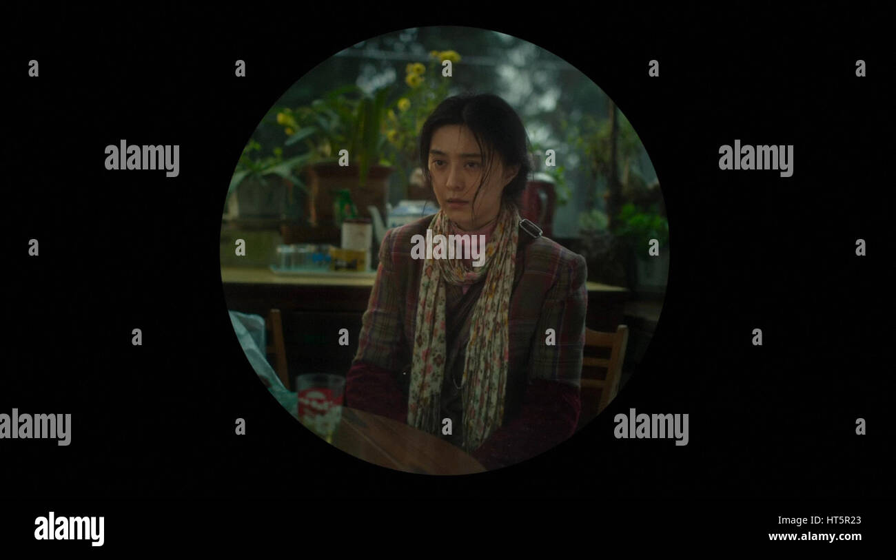 I AM NOT MADAME BOVARY, (aka WO BU SHI PAN JIN LIAN), FAN Bingbing ...