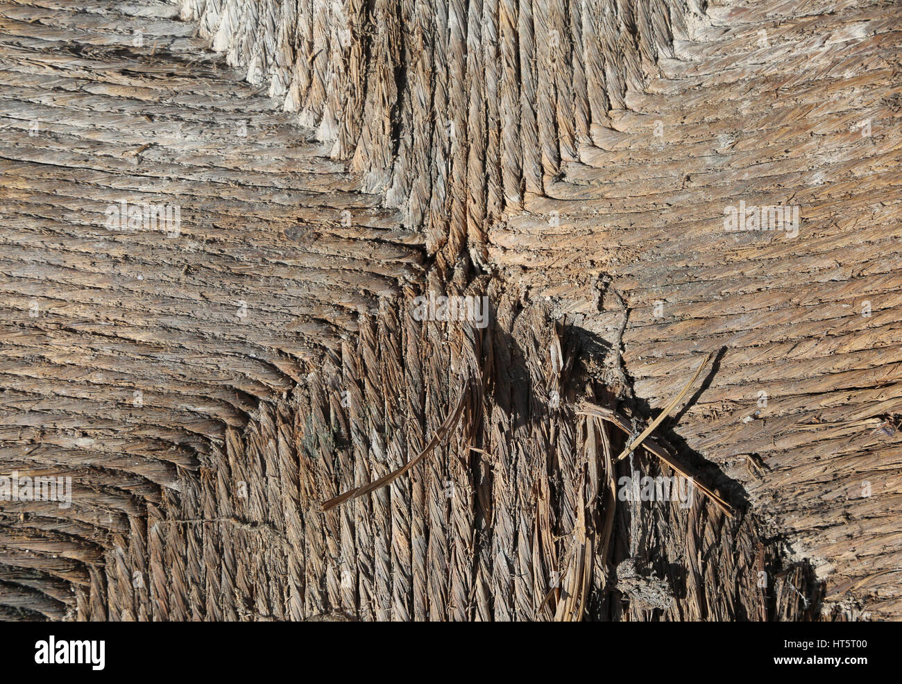 Old wicker chair hi-res stock photography and images - Alamy