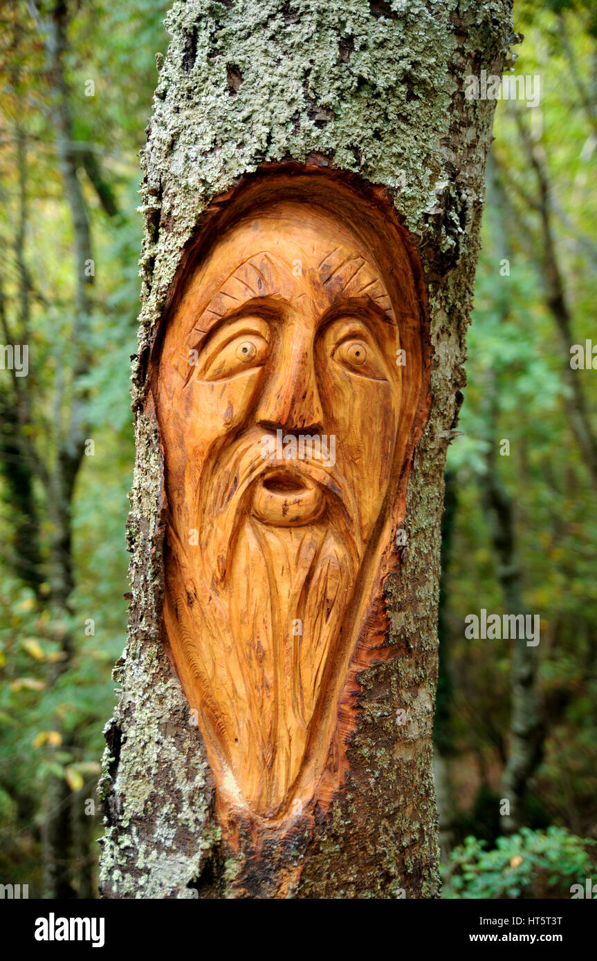 Faces carved into tree hi-res stock photography and images - Alamy