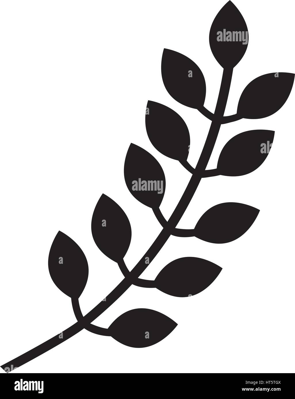 spike natural isolated icon Stock Vector Image & Art - Alamy
