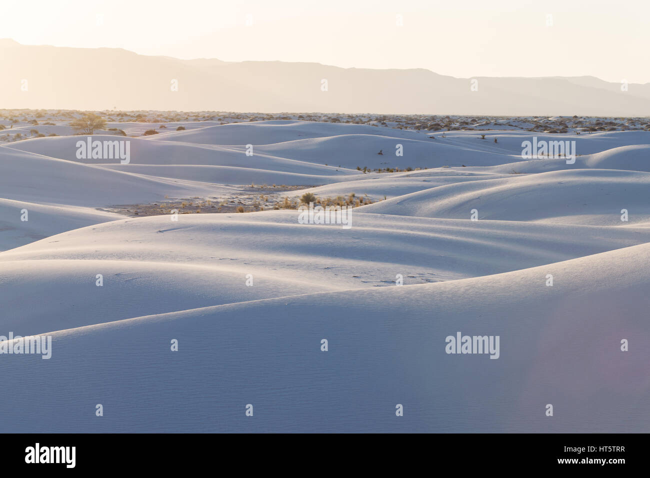 Undulating sand dunes in late afternoon light, White Sands National ...