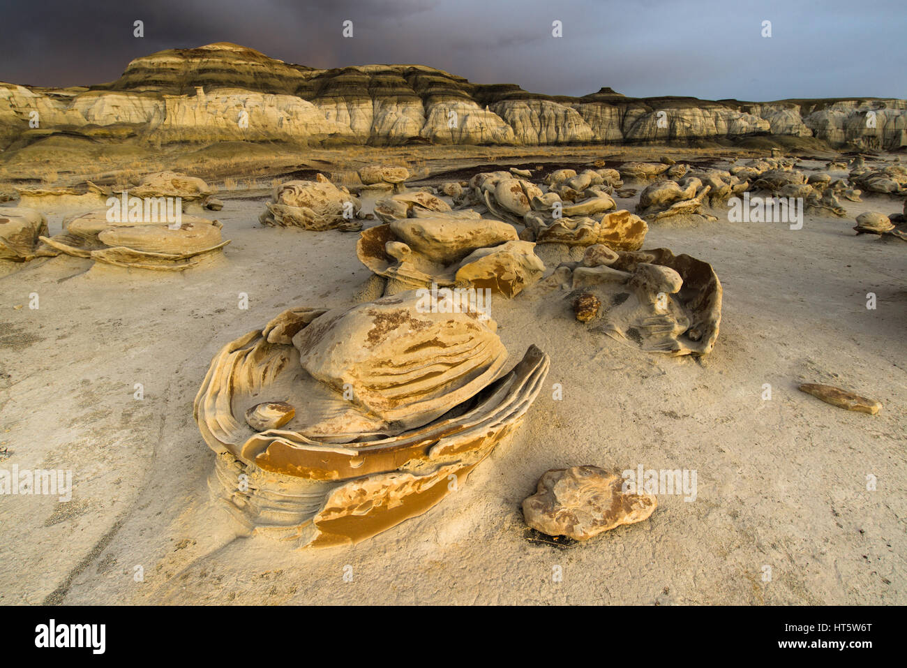 Bisti or De-Na-Zin Wilderness Area or badlands showing unique rock ...