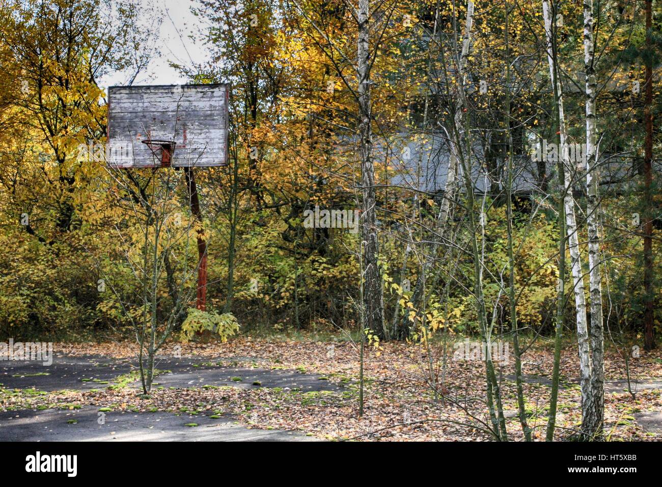 Chernobyl, Pripyat – abandoned building taken over by vegetation after ...