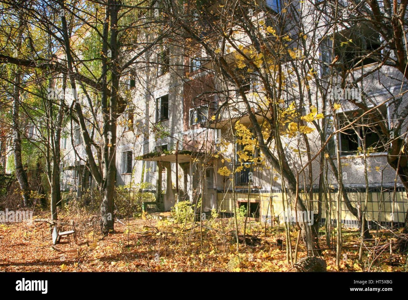 Chernobyl, Pripyat – abandoned building taken over by vegetation after ...