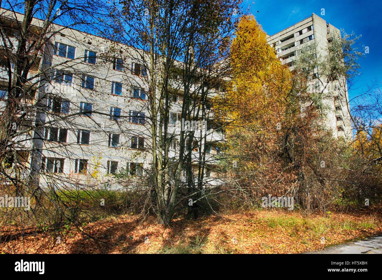 Pripyat – abandoned building taken over by vegetation after Chernobyl ...
