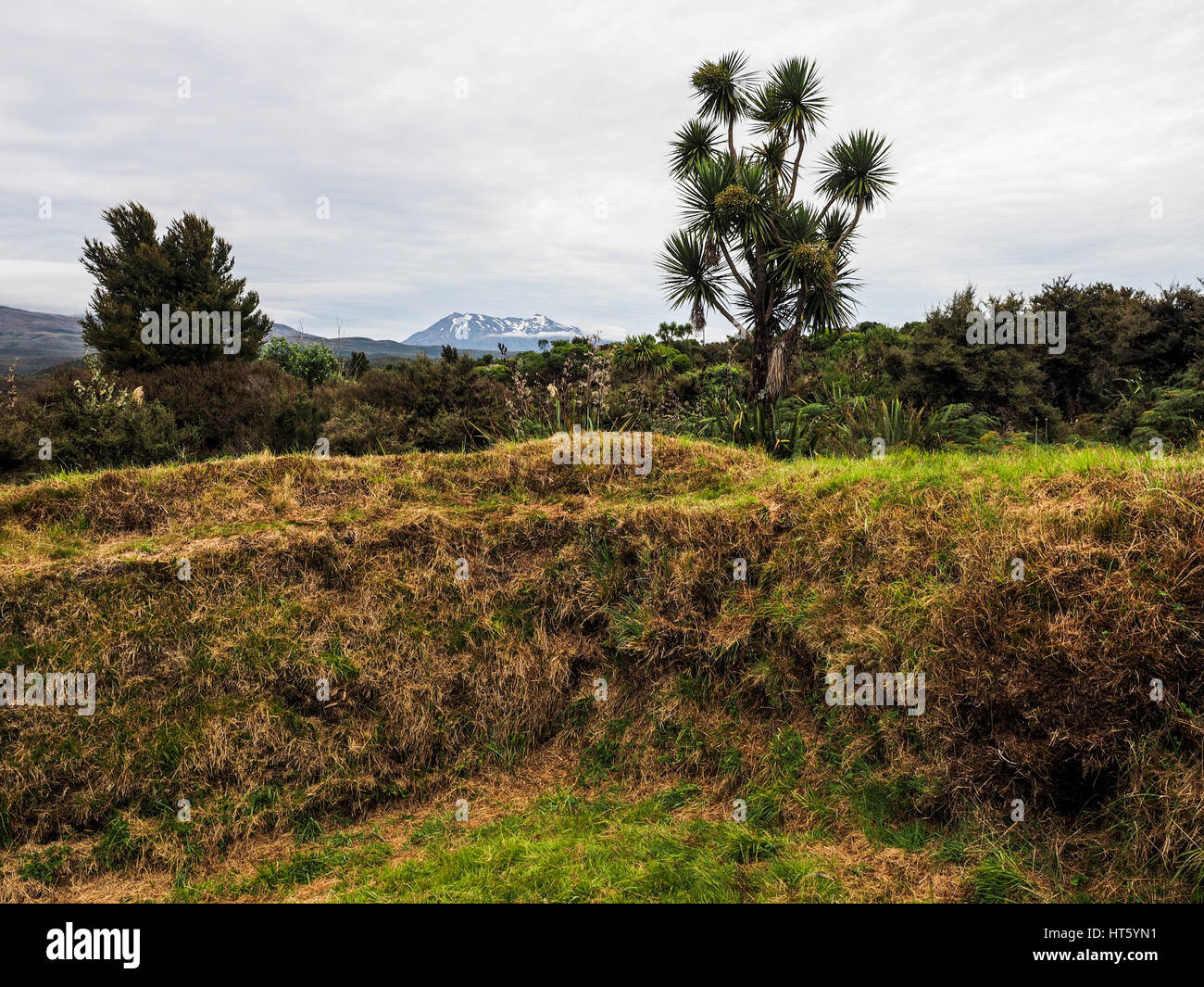 Maori history hi-res stock photography and images - Alamy