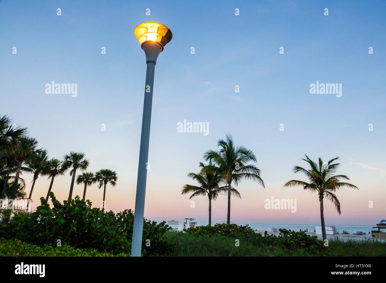 Florida South,Miami Beach,palm trees,lamppost,twilight,dusk,evening ...