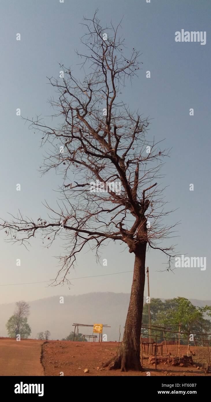 Grand canyon of india hi-res stock photography and images - Alamy