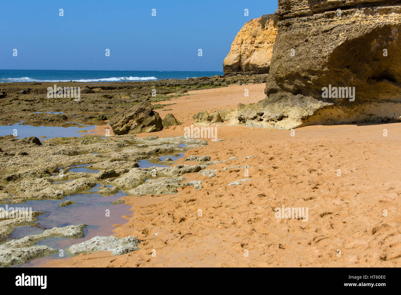 beautiful beach at Albufeira, Algarve, the south of portugal Stock ...