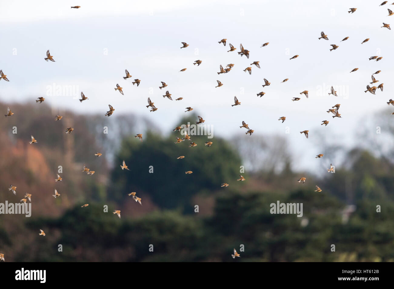 Neston cheshire hi-res stock photography and images - Alamy