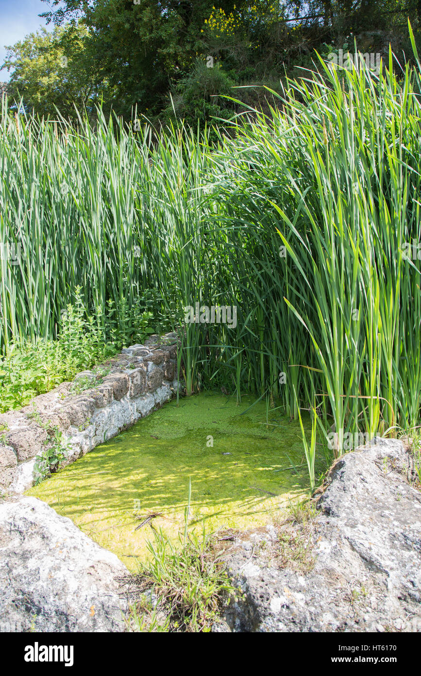 Decanting basin hi-res stock photography and images - Alamy