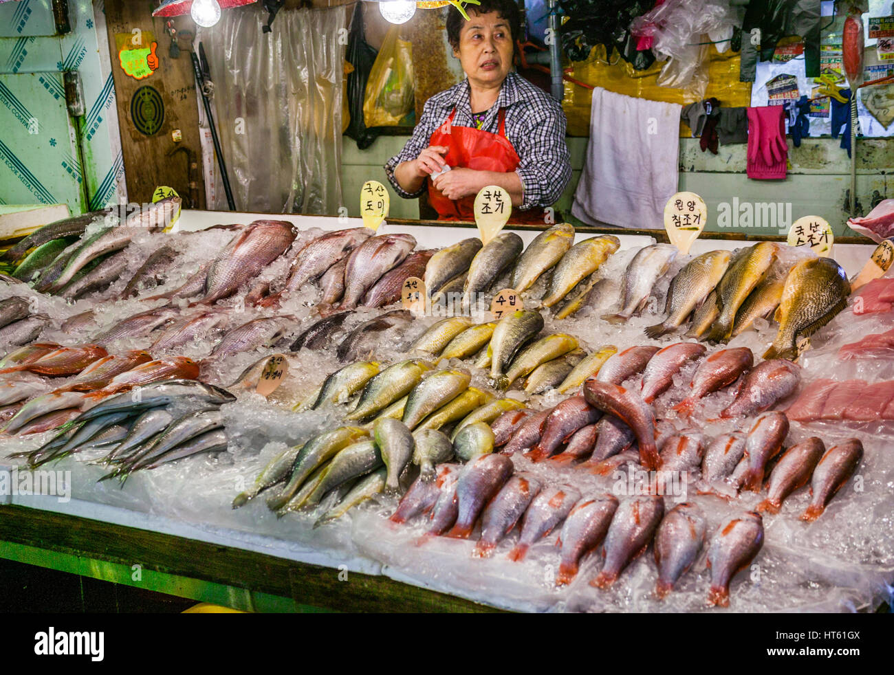 South Korea, Yeongnam Region, Busan, fresh fish at Yagalchi Fish Market ...