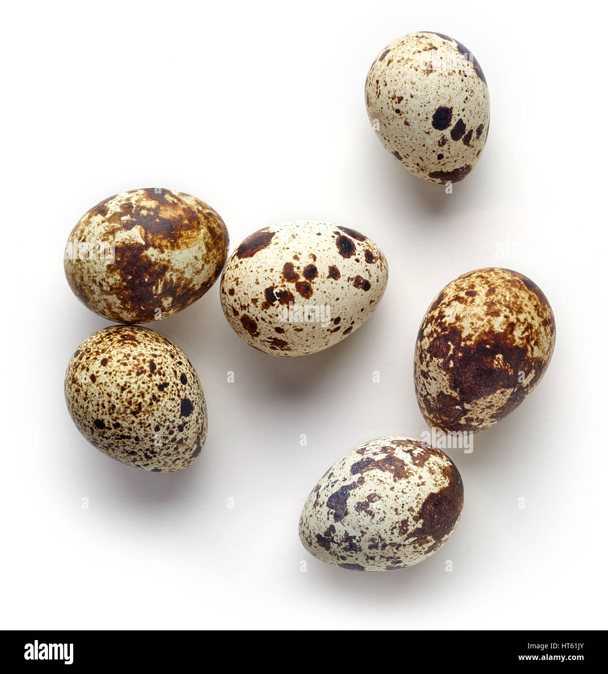 Quail eggs isolated on white background, top view Stock Photo - Alamy