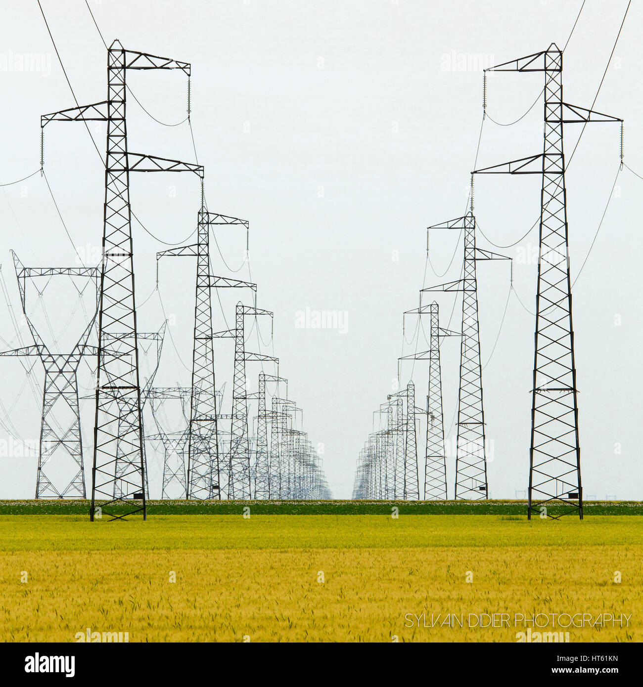 Rows of electric pylons with high voltage cables crossing an ...