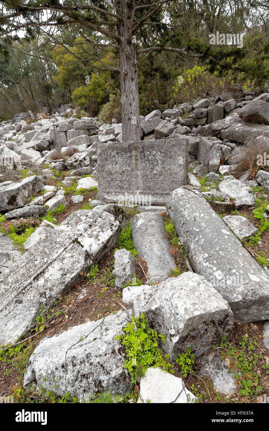Fallen columns-ruins of the gymnasium and baths complex built in grey ...