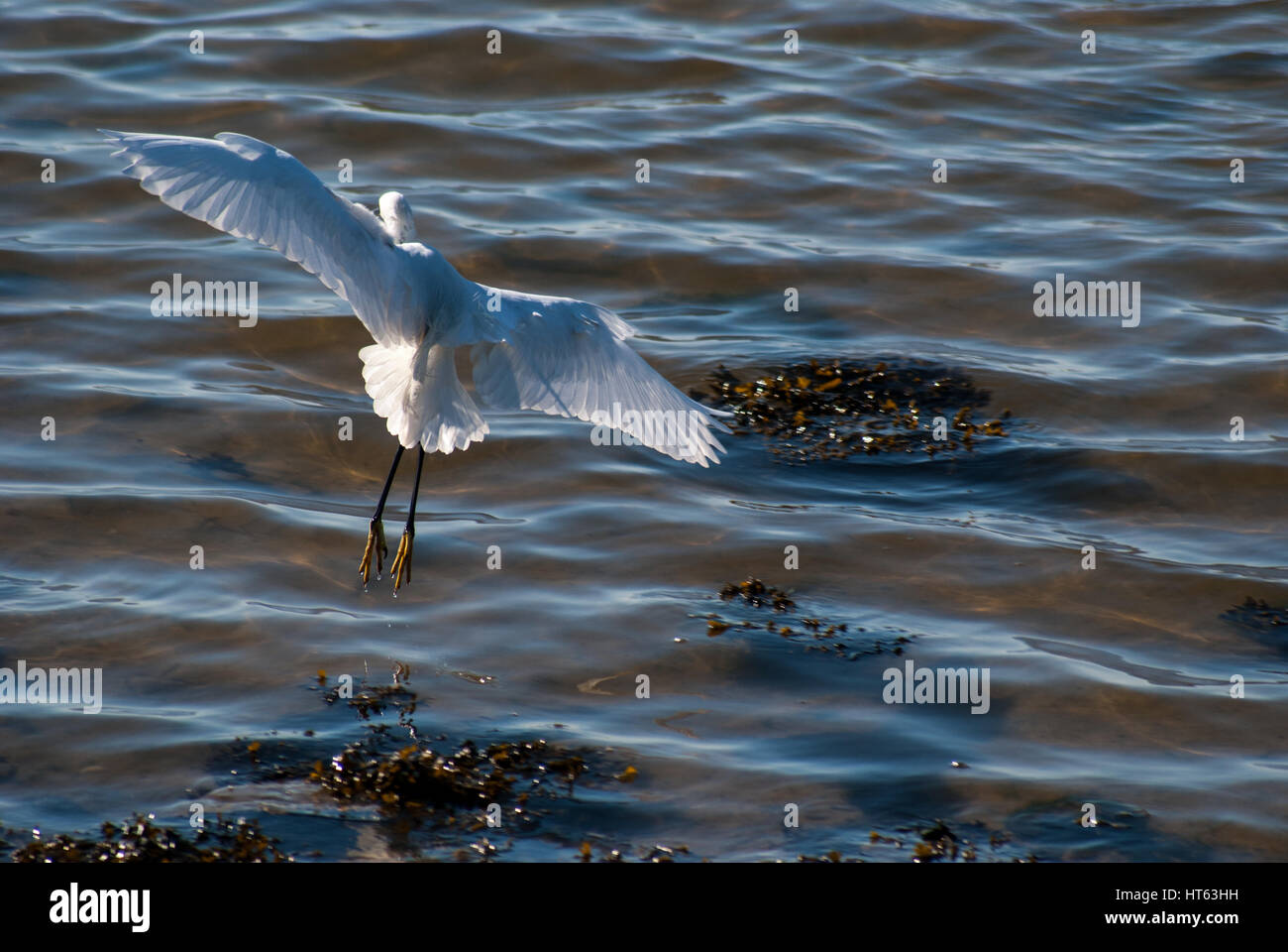 Porto douro estuary nature reserve hi-res stock photography and images ...
