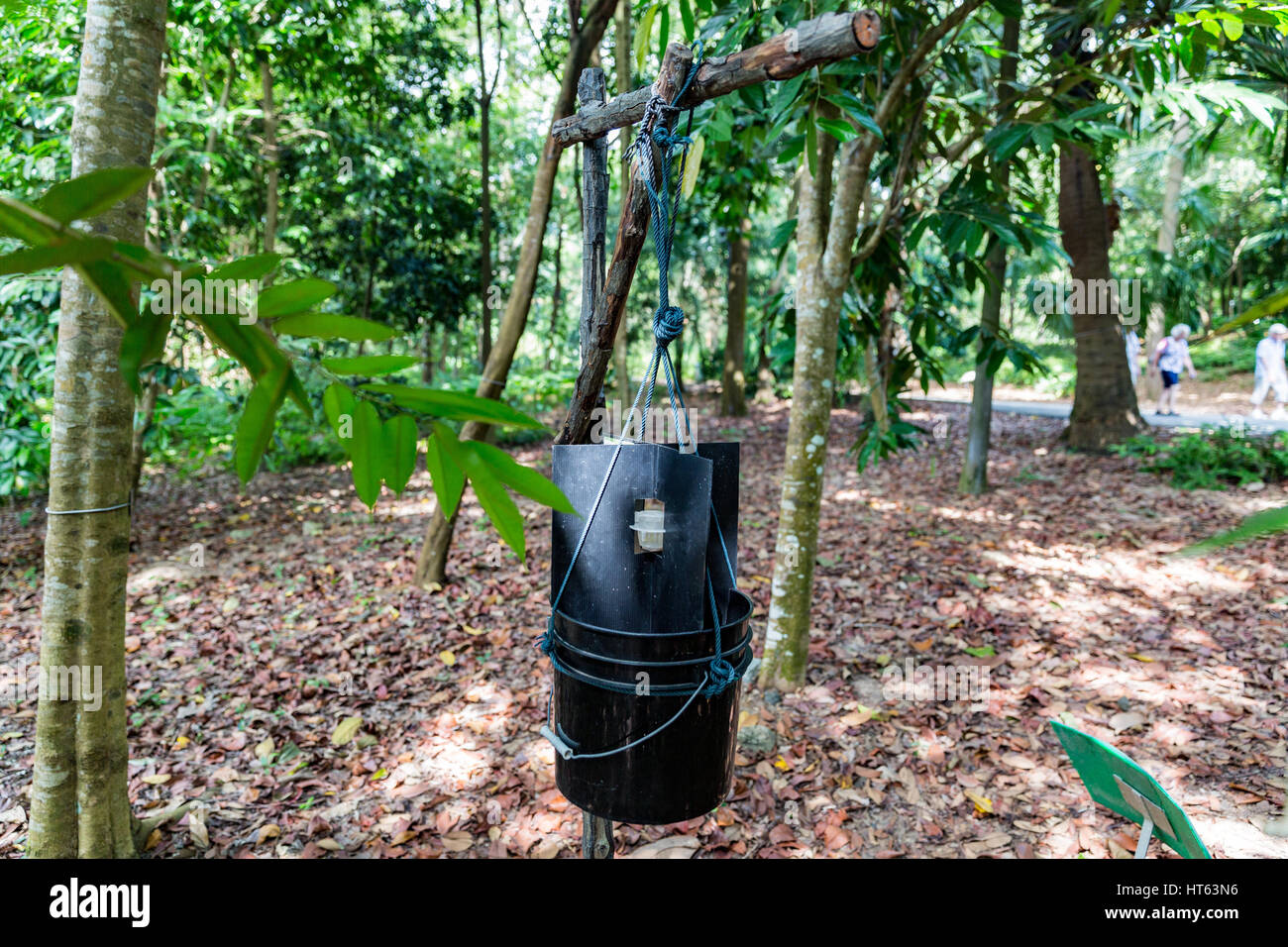 A red palm weevil trap protects the plants in the Botantical gardens in ...