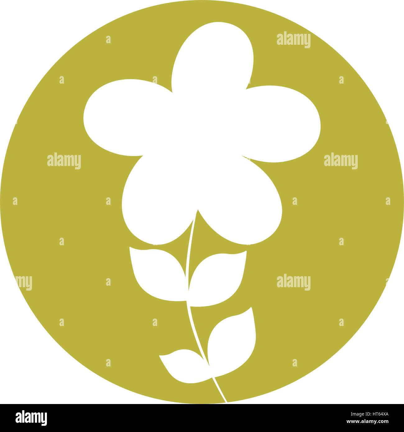 Jasmine flower closeup Stock Vector Images - Alamy