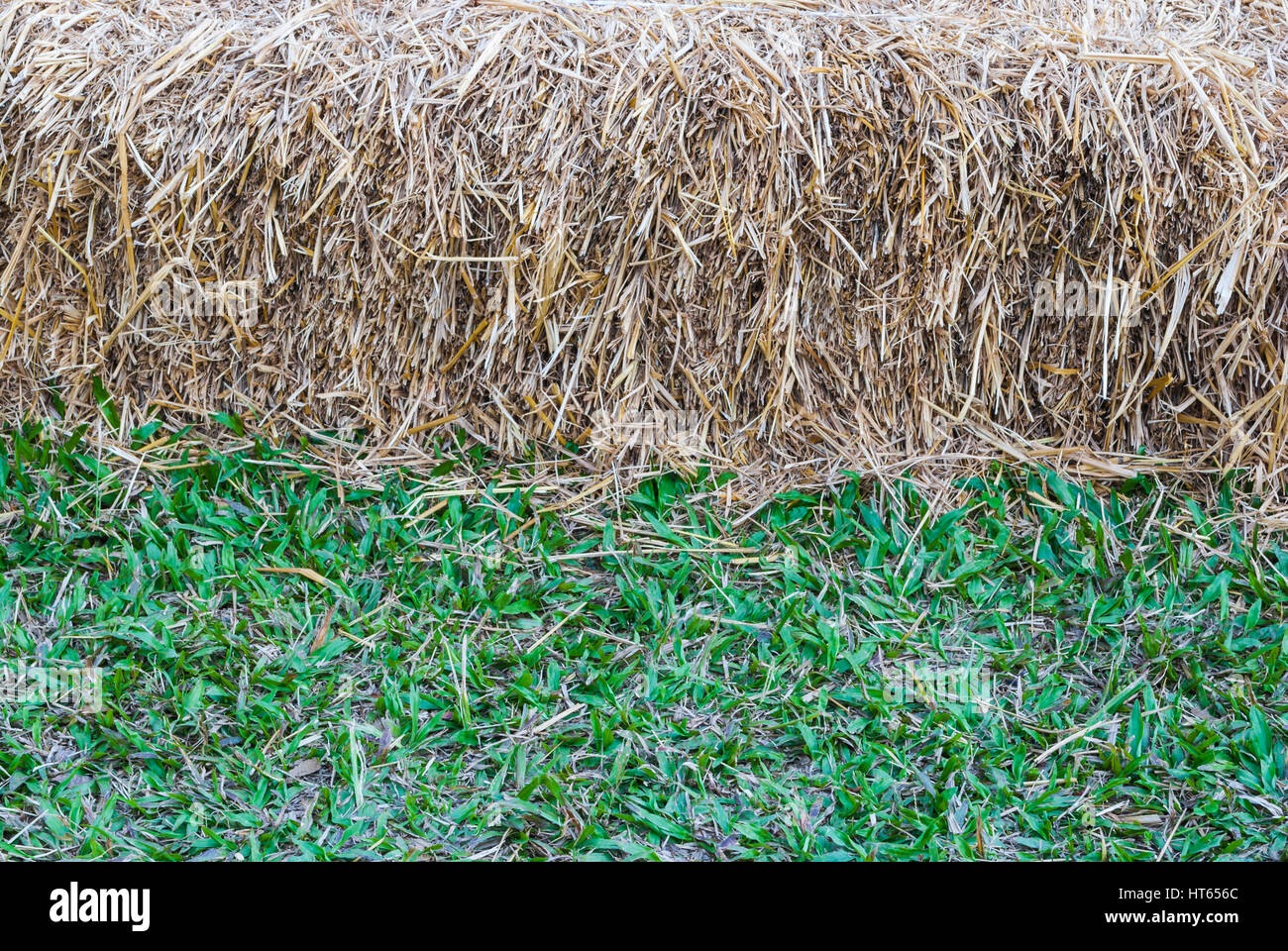 Closeup to Horizontal Half of Straw and Grass Background Stock Photo ...