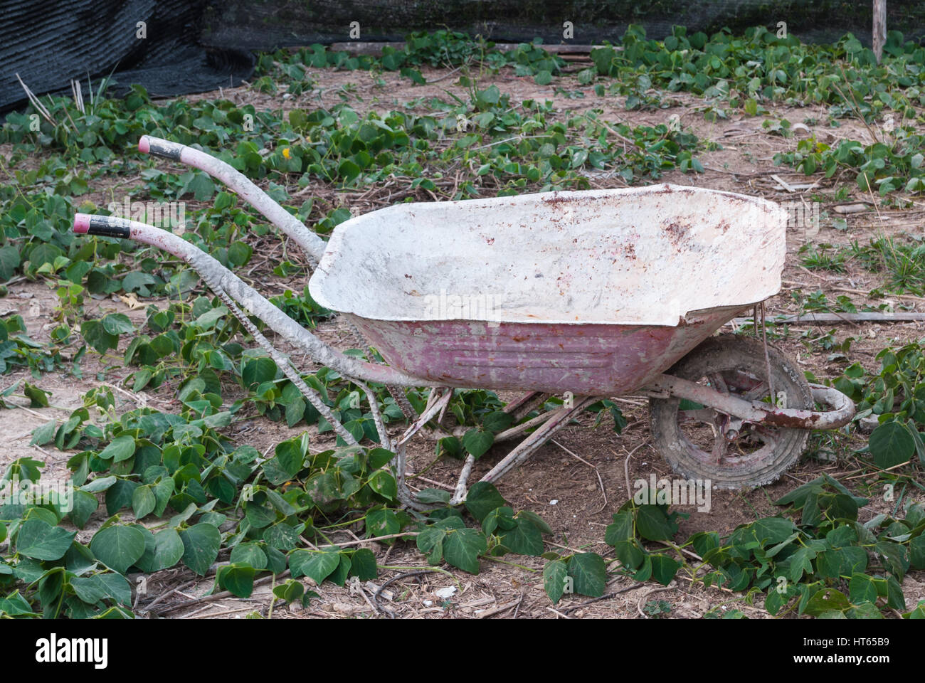 Closeup to Stained Construction One Wheel Trolley Stock Photo - Alamy