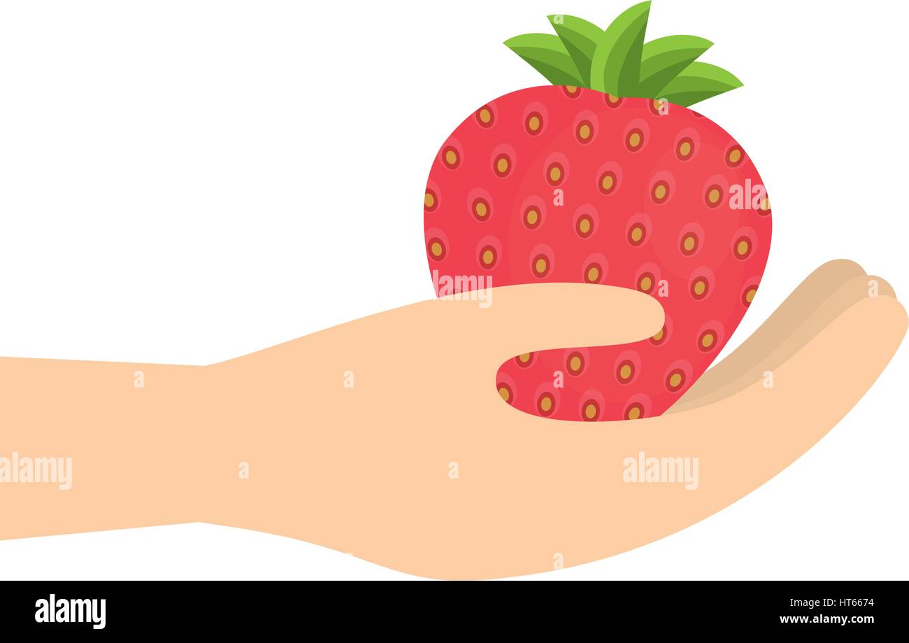 hand holding strawberry fruit Stock Vector Image & Art - Alamy