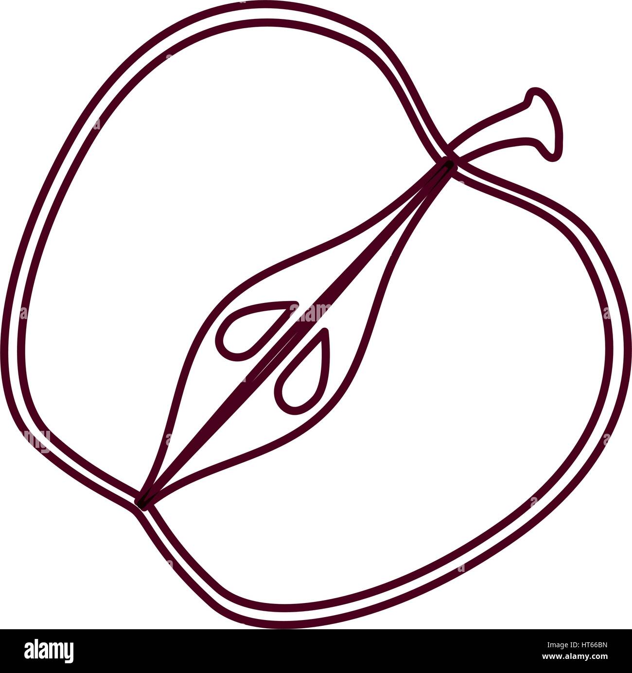 Custard apple vector illustration Stock Vector Images - Alamy