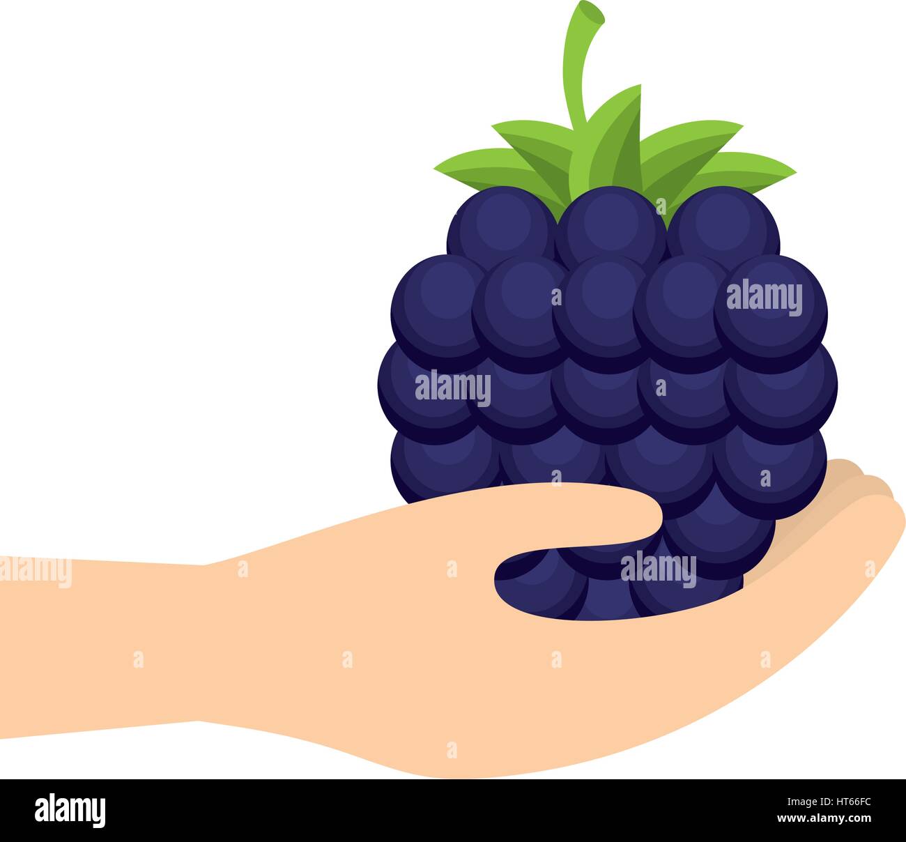 Handful of fruit Stock Vector Images - Alamy