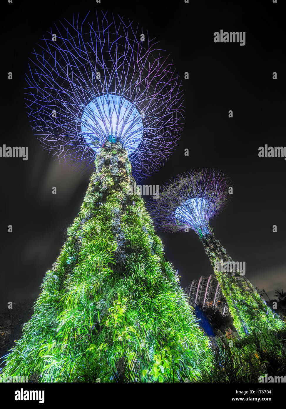 The Supertree, Singapore Stock Photo - Alamy