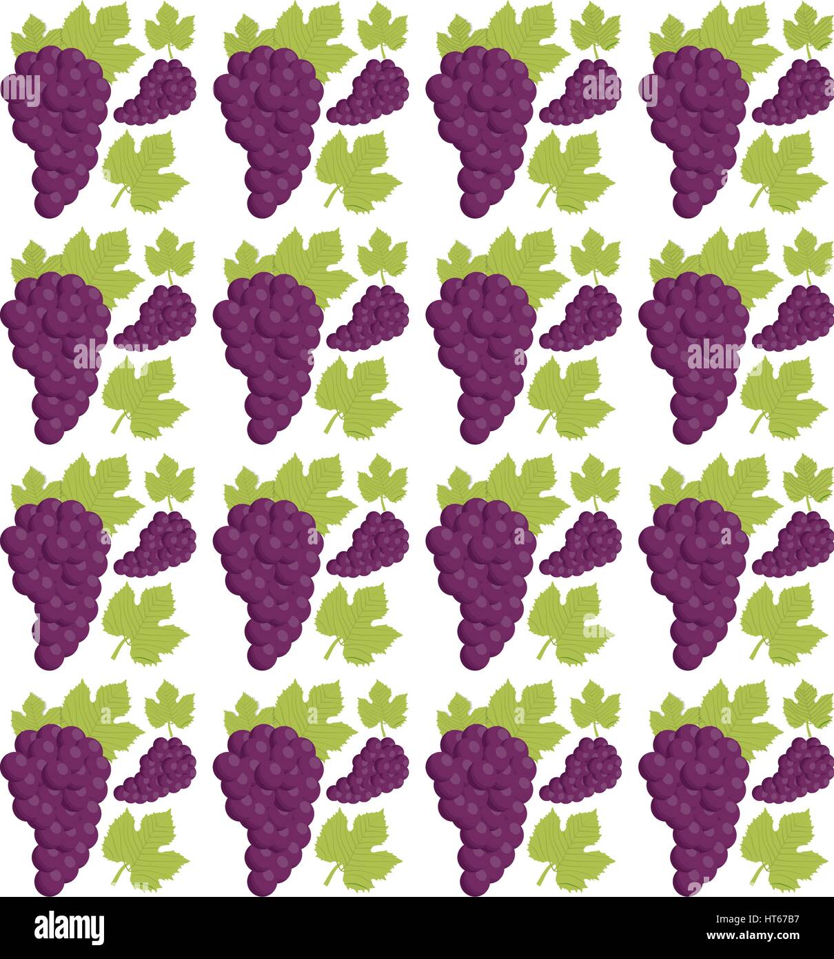 Ornamental grape Stock Vector Images - Alamy