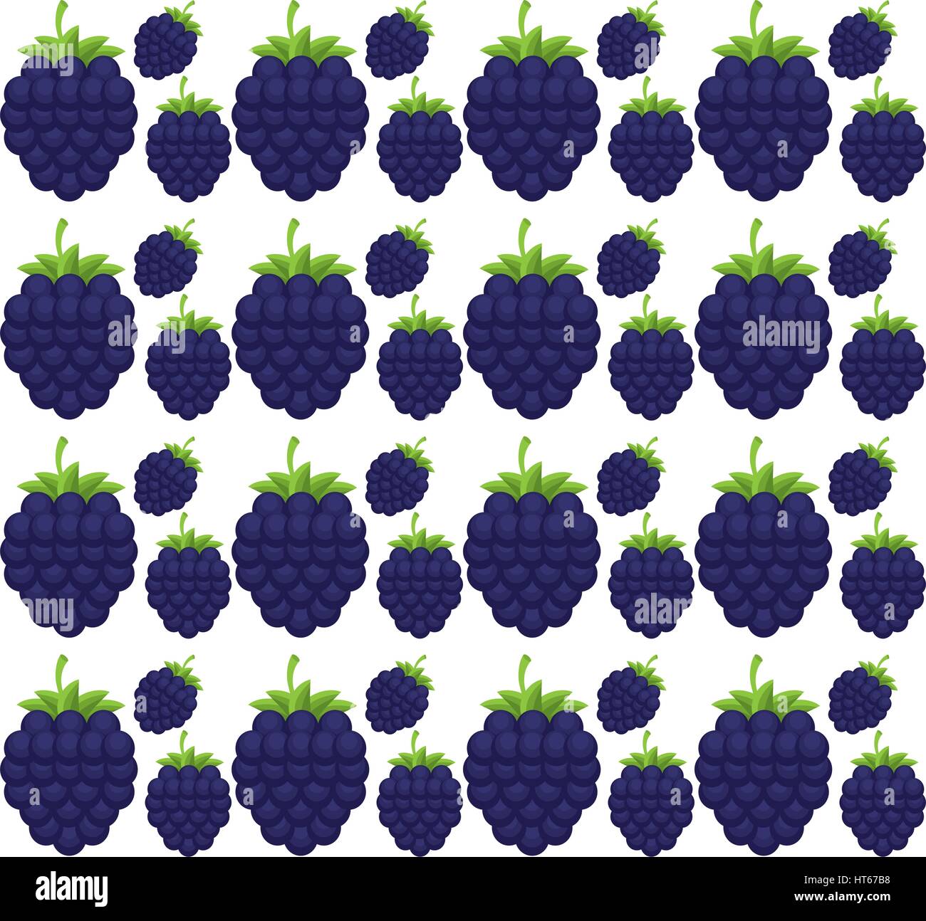 Blackberry flowers fruit Stock Vector Images - Alamy