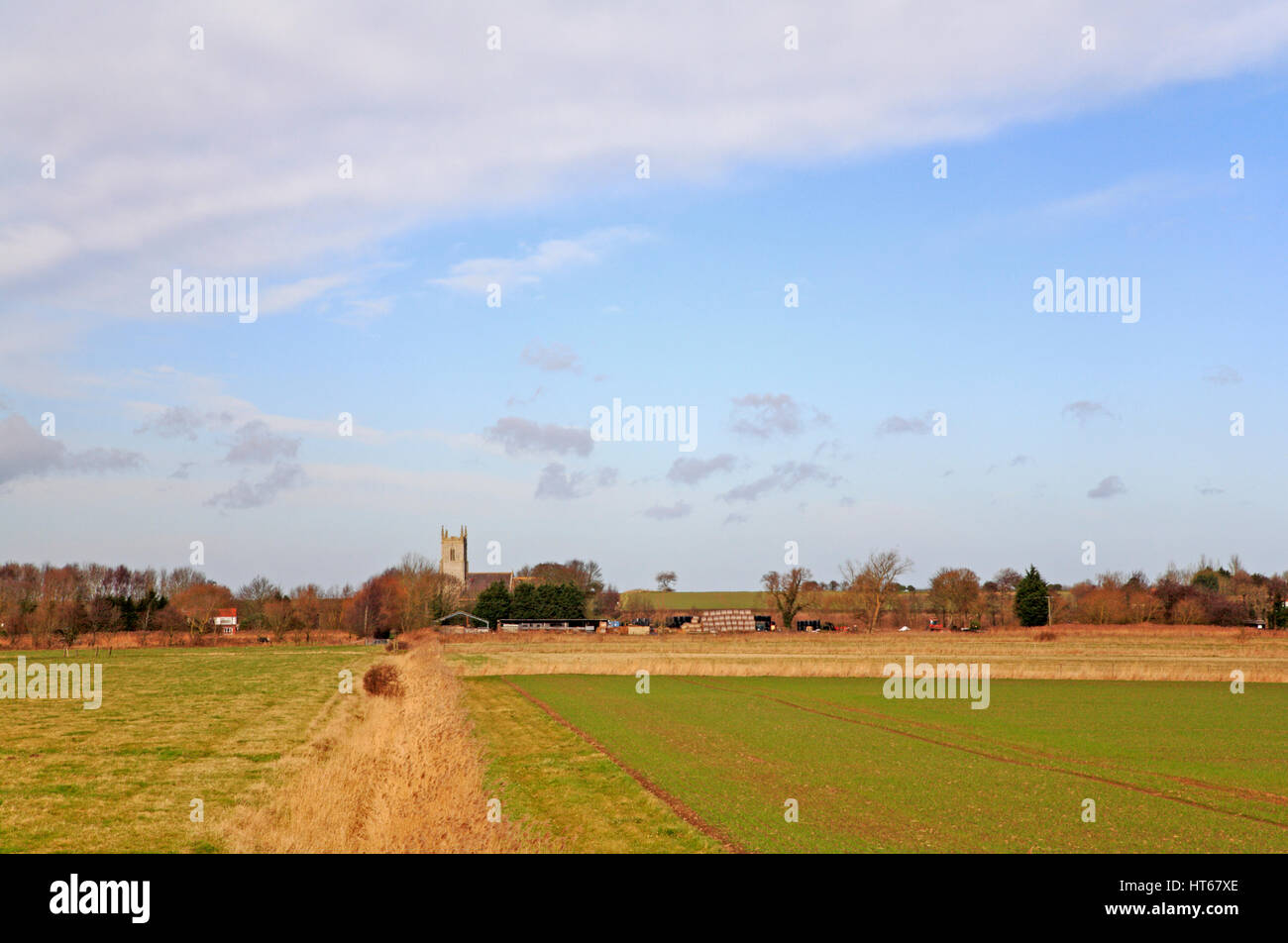 Mixed farmland in the Norfolk Broads at Runham, Norfolk, England ...
