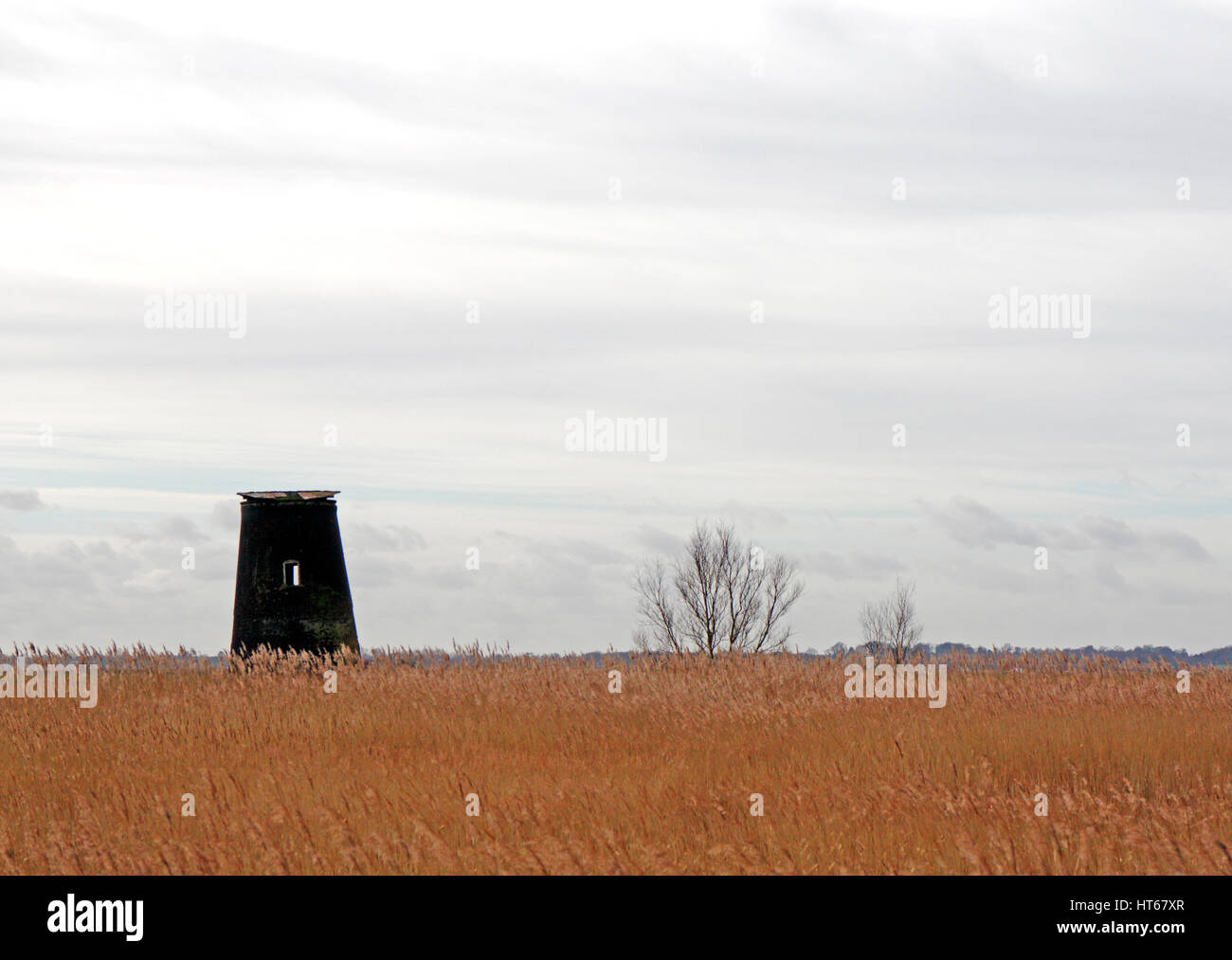 A view of the derelict Six Mile House Drainage Mill on the Norfolk ...